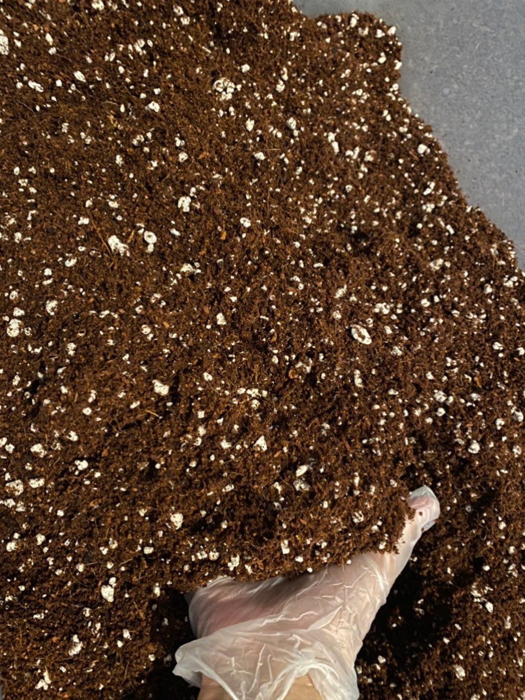 Soilless Seed Starting Mix Hand Mixed Small Batch Organic - Etsy