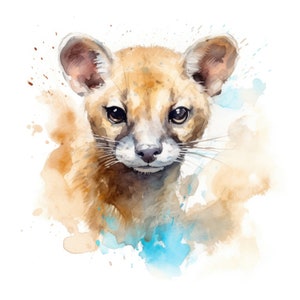 Fossa Watercolor Clipart Madagascar Animal | 10 High Quality JPG ...