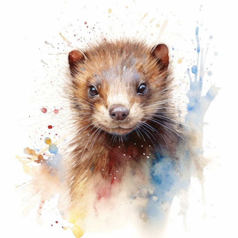 Watercolor Mink Clipart | 10 High Quality JPG | Scrapbooking, Card ...