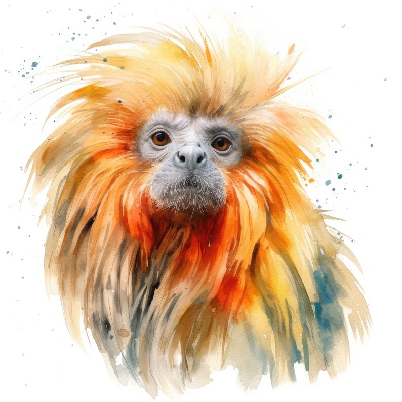 Golden Lion Tamarin Clipart Watercolor 10 High Quality JPG Scrapbooking ...