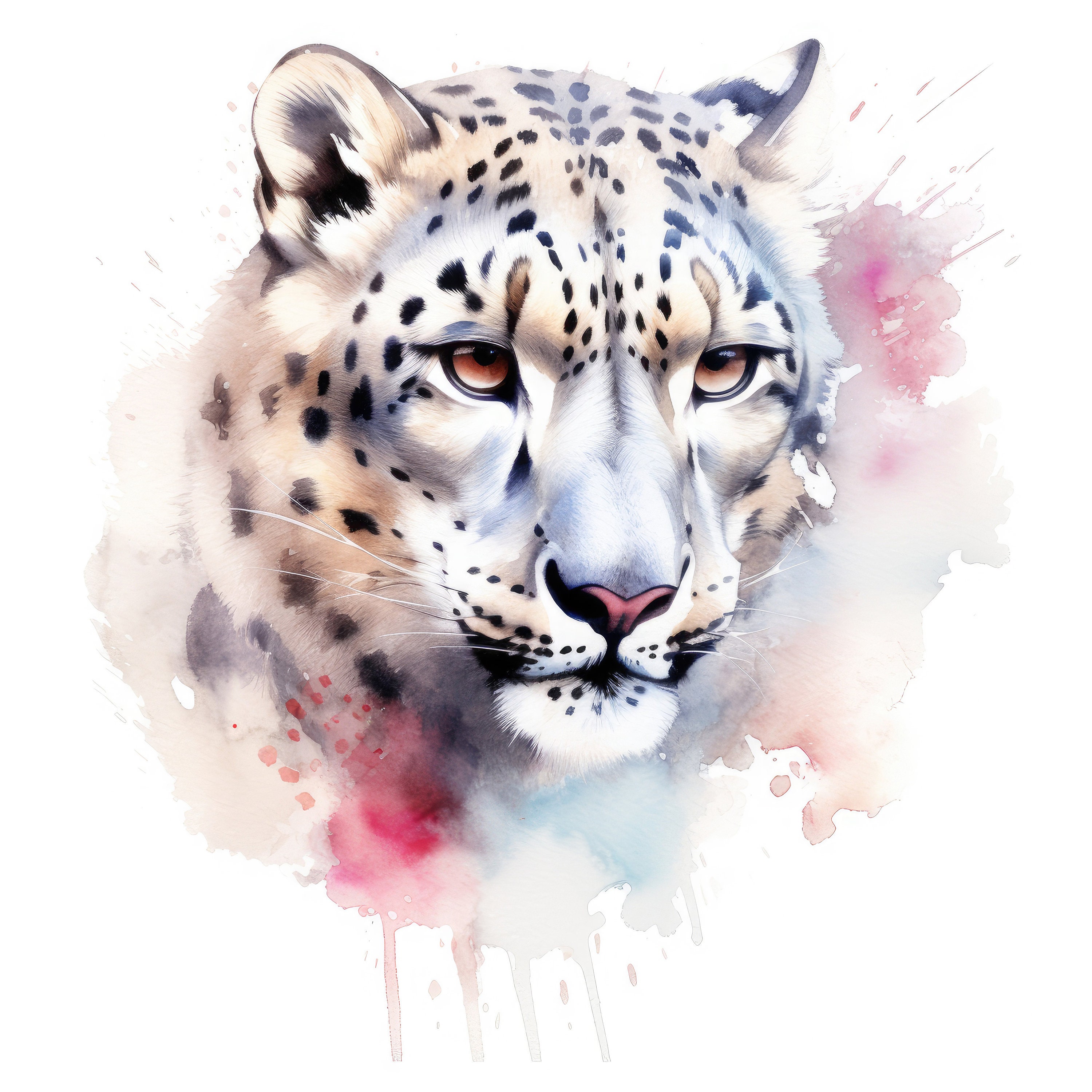 Snow Leopard Watercolor Clipart 10 High Quality JPG Scrapbooking, Card ...
