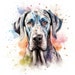 Watercolor Great Dane Dog Clipart | 10 High Quality JPG | Scrapbooking ...