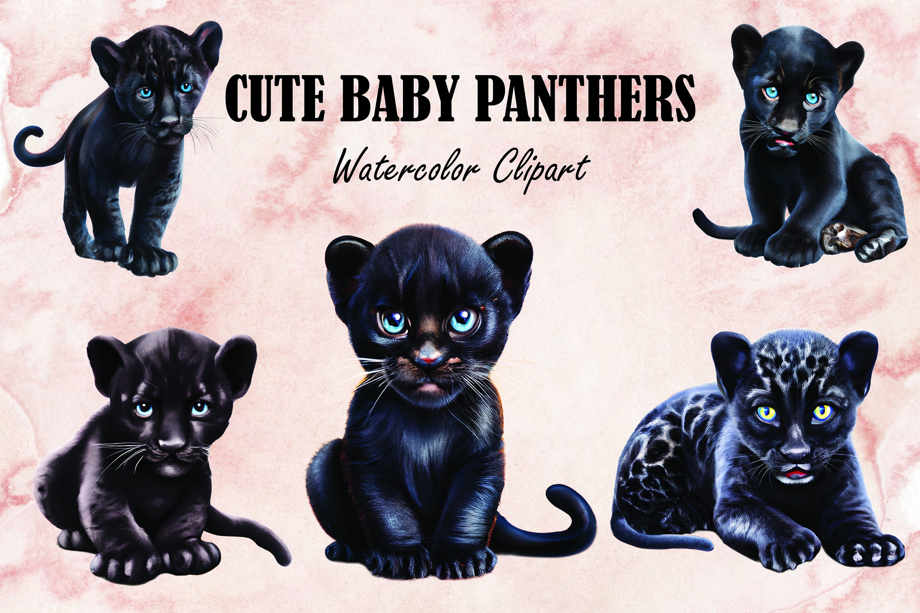 Cute Baby Panthers