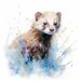 Watercolor Mink Clipart | 10 High Quality JPG | Scrapbooking, Card ...