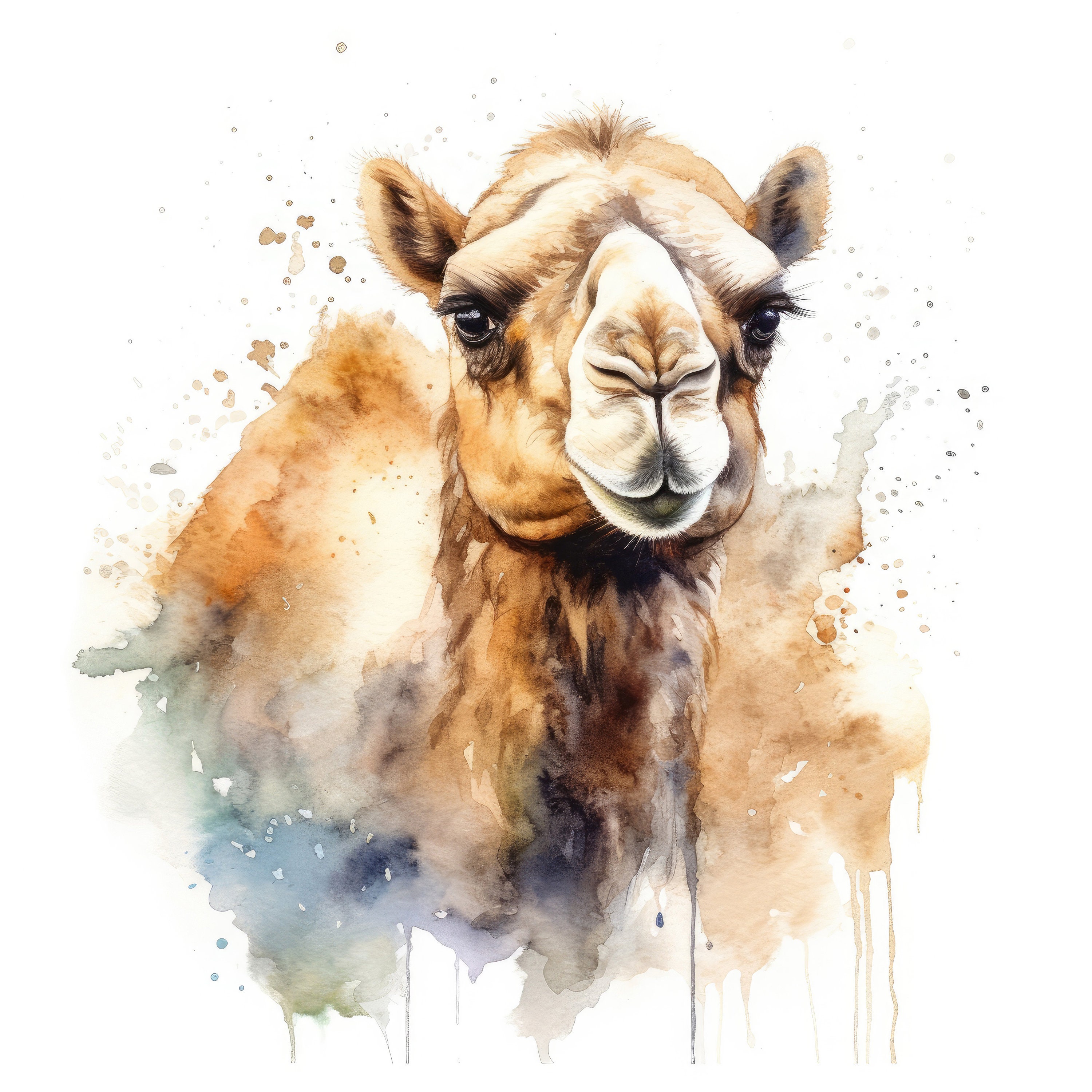 Watercolor Camel Clipart 10 High Quality JPG Scrapbooking - Etsy
