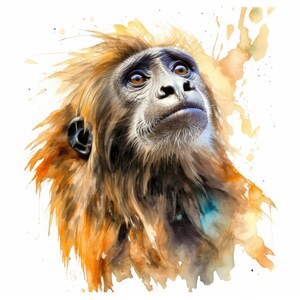 Watercolor Howler Monkey Clipart | 10 High Quality JPG | Scrapbooking ...
