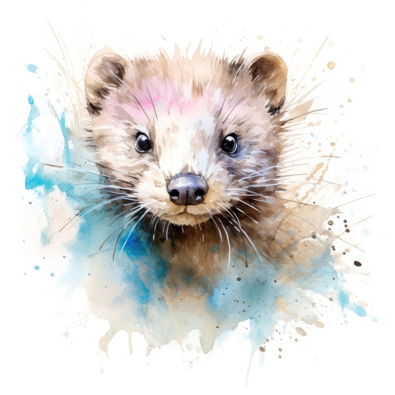 Watercolor Mink Clipart | 10 High Quality JPG | Scrapbooking, Card ...