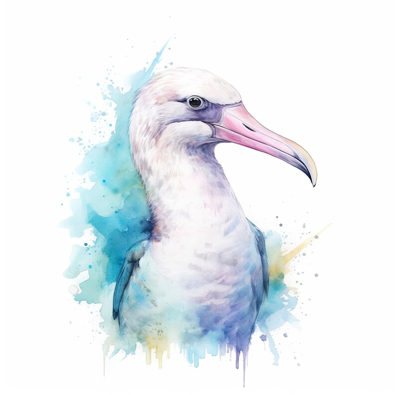 Watercolor Albatross Clipart | 10 High Quality JPG | Scrapbooking, Card ...