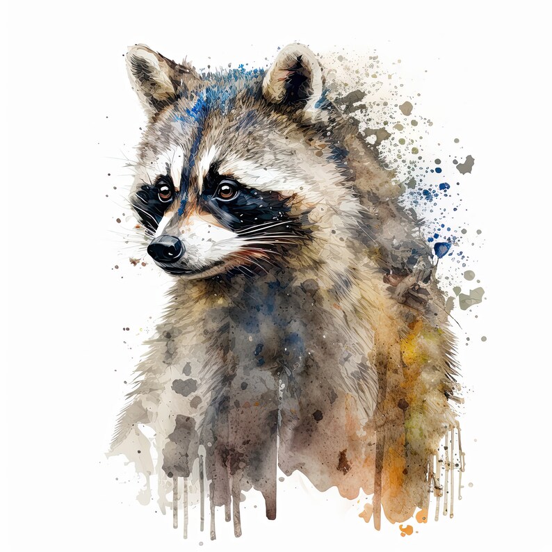 Raccoon Clipart Watercolor 10 High Quality JPG - Etsy