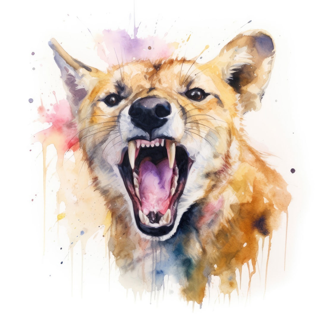 Tasmanian Tiger Clipart | 10 High Quality JPG | Scrapbooking, Card ...