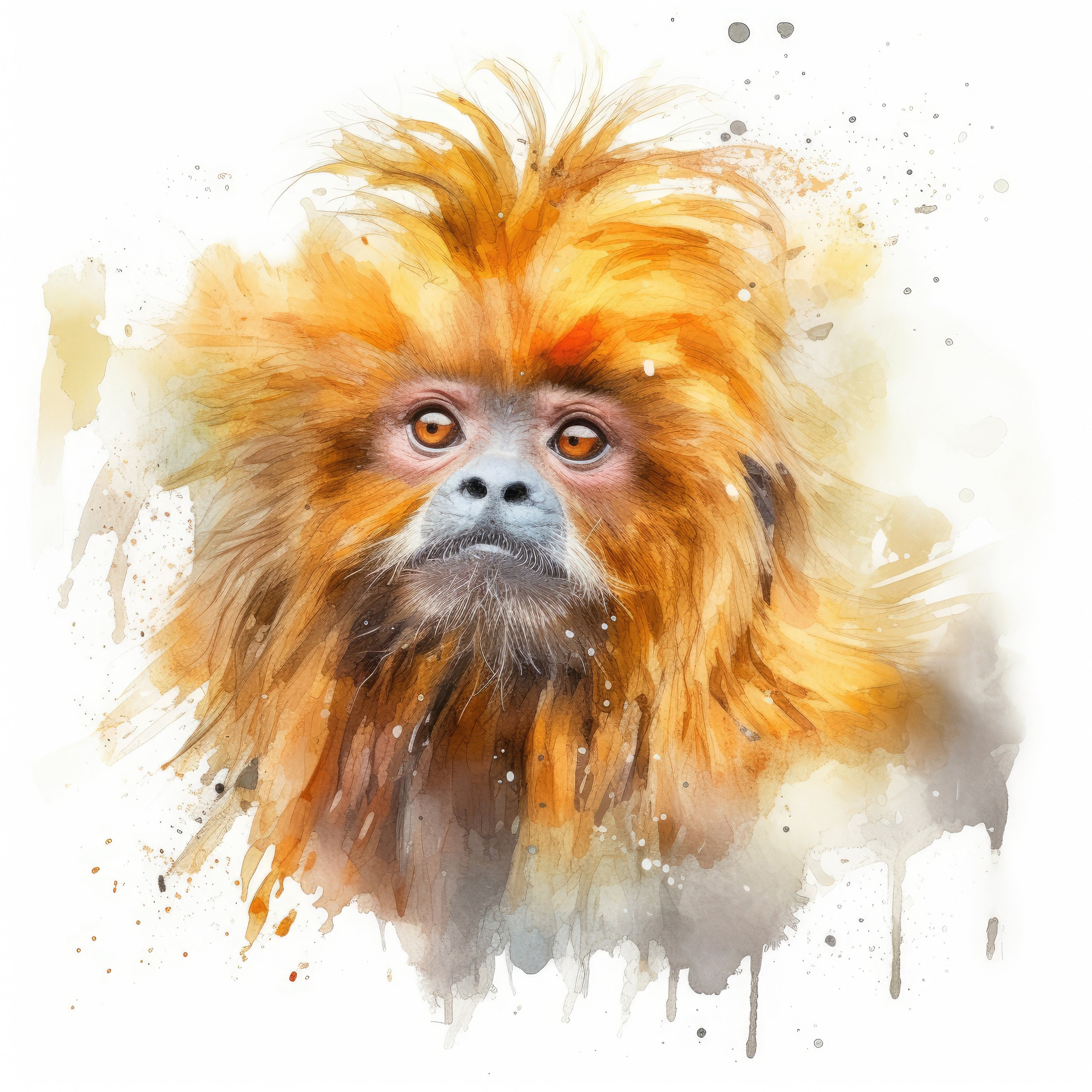 Golden Lion Tamarin Clipart Watercolor 10 High Quality JPG Scrapbooking ...