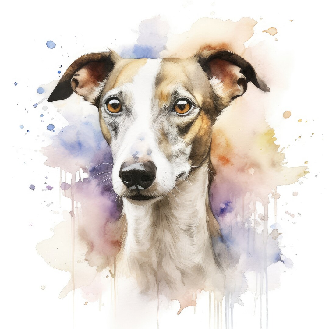 Watercolor Whippet Dog Clipart | 10 High Quality JPG | Scrapbooking ...
