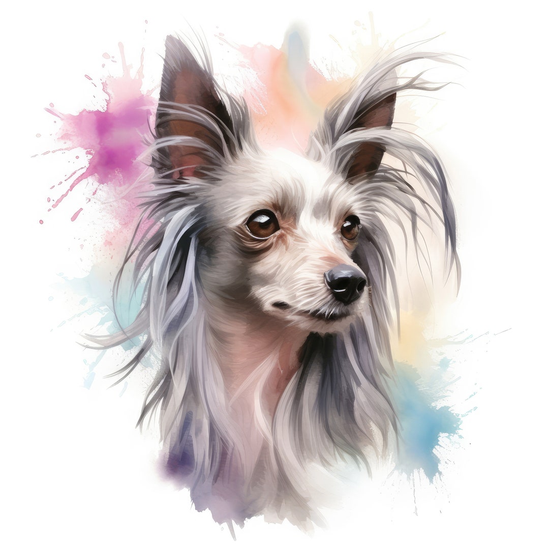 Watercolor Chinese Crested Clipart | 10 High Quality JPG | Scrapbooking ...