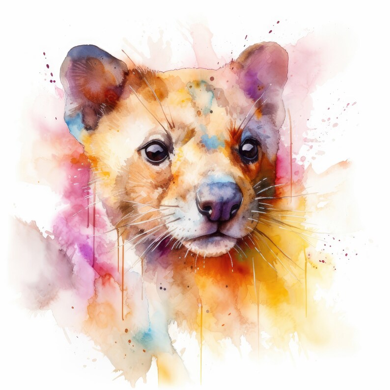 Fossa Watercolor Clipart Madagascar Animal | 10 High Quality JPG ...