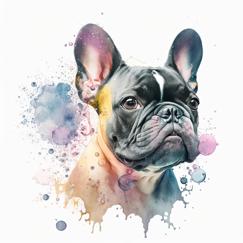 Watercolor French Bulldog Clipart | 10 High Quality JPG | Scrapbooking ...