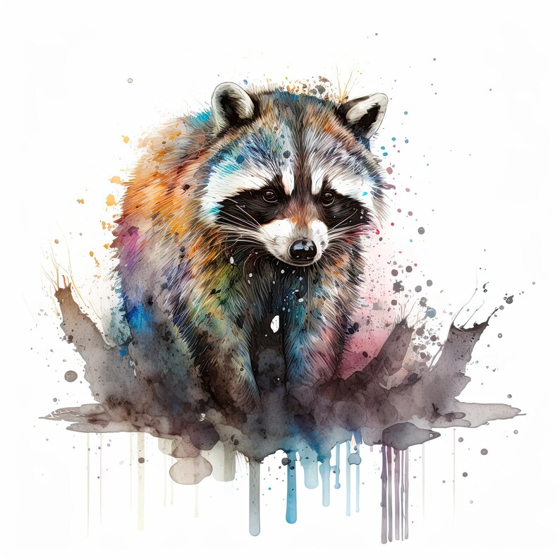 Raccoon Clipart Watercolor 10 High Quality JPG - Etsy
