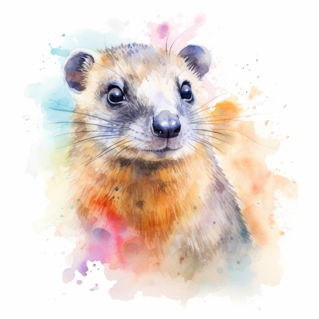 Hyrax Clipart Watercolor | 10 High Quality JPG | Scrapbooking, Card ...