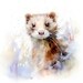Watercolor Mink Clipart | 10 High Quality JPG | Scrapbooking, Card ...