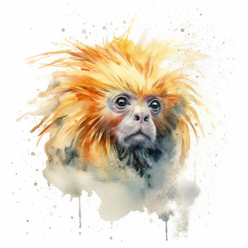 Golden Lion Tamarin Clipart Watercolor 10 High Quality JPG - Etsy