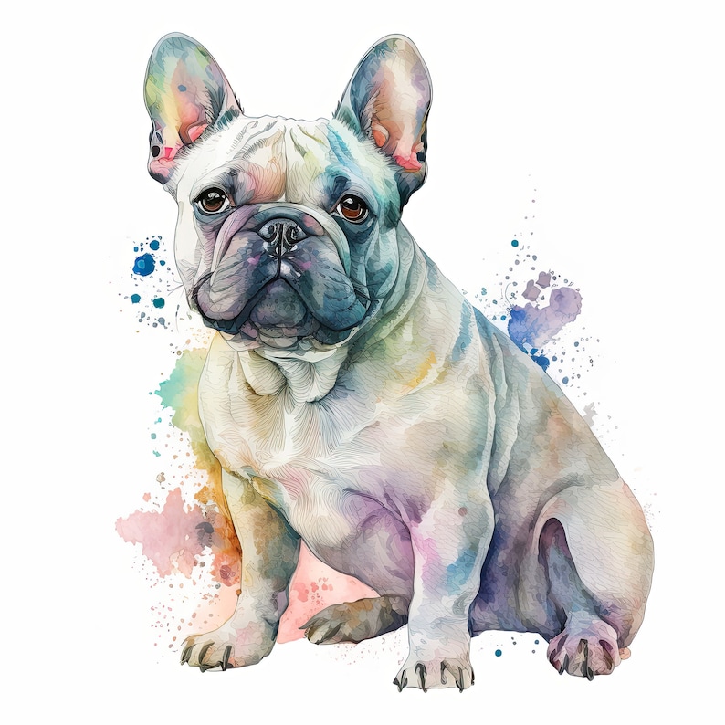 Watercolor French Bulldog Clipart | 10 High Quality JPG | Scrapbooking ...