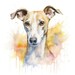 Watercolor Whippet Dog Clipart | 10 High Quality JPG | Scrapbooking ...