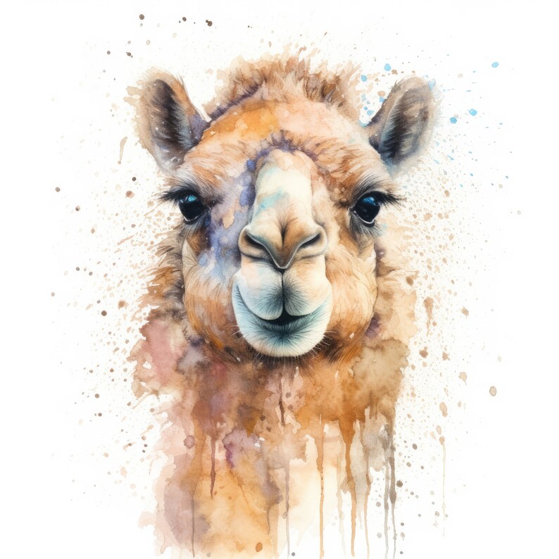 Watercolor Camel Clipart 10 High Quality JPG Scrapbooking - Etsy