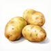 Watercolor Potato Clipart | 10 High Quality JPG | Scrapbooking, Card ...