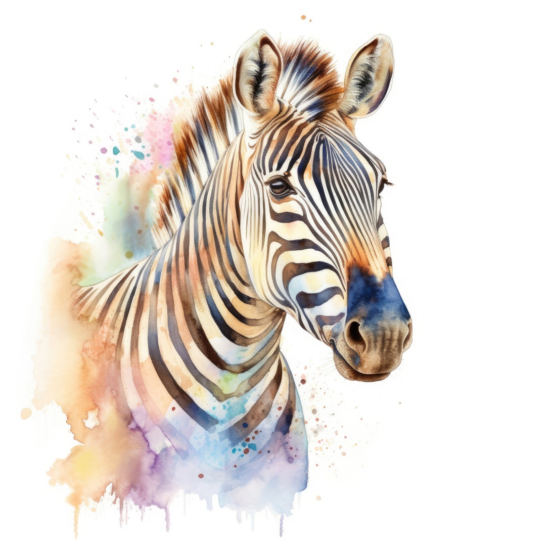 Zebra Quagga Watercolor Clipart | 10 High Quality JPG | Scrapbooking ...