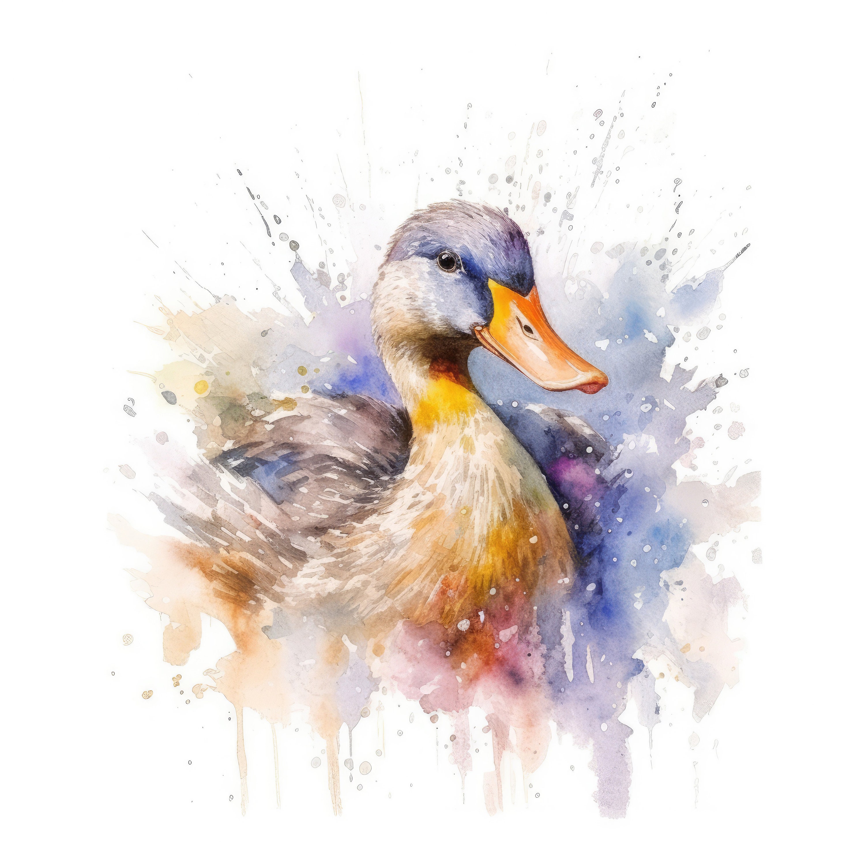 Watercolor Duck Clipart 10 High Quality JPG Scrapbooking - Etsy