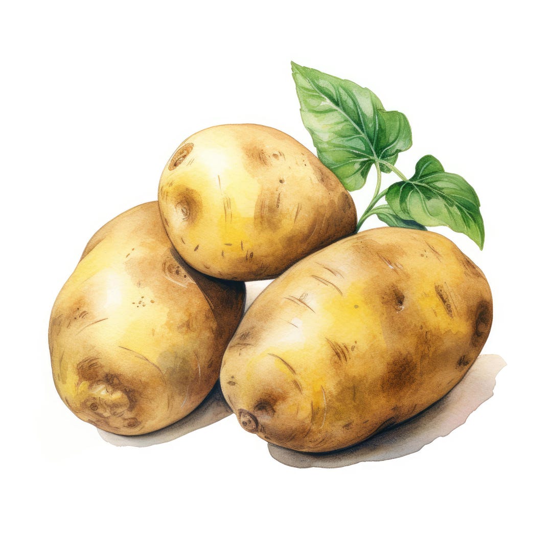 Watercolor Potato Clipart | 10 High Quality JPG | Scrapbooking, Card ...