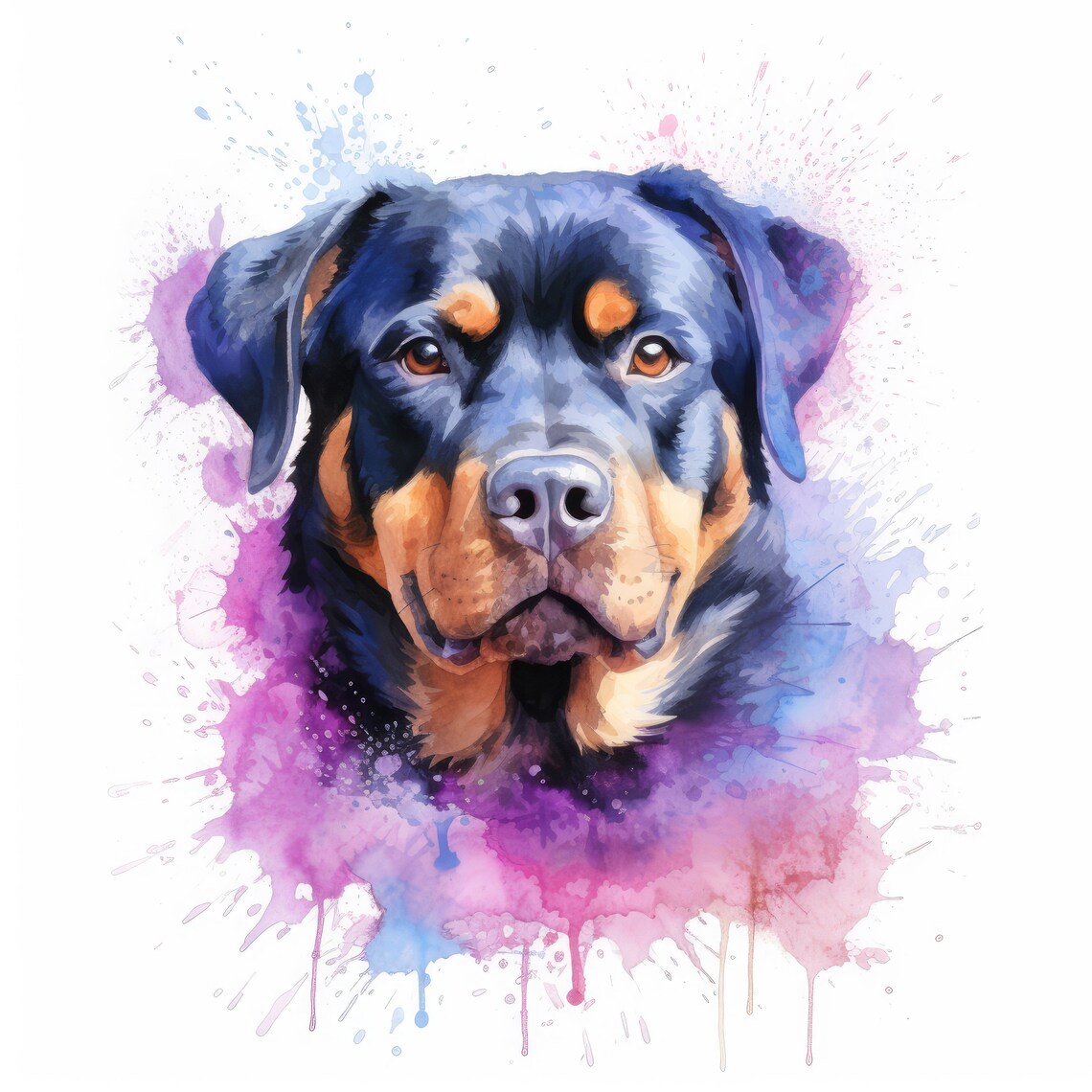 Watercolor Rottweiler Dog Clipart 10 High Quality JPG - Etsy