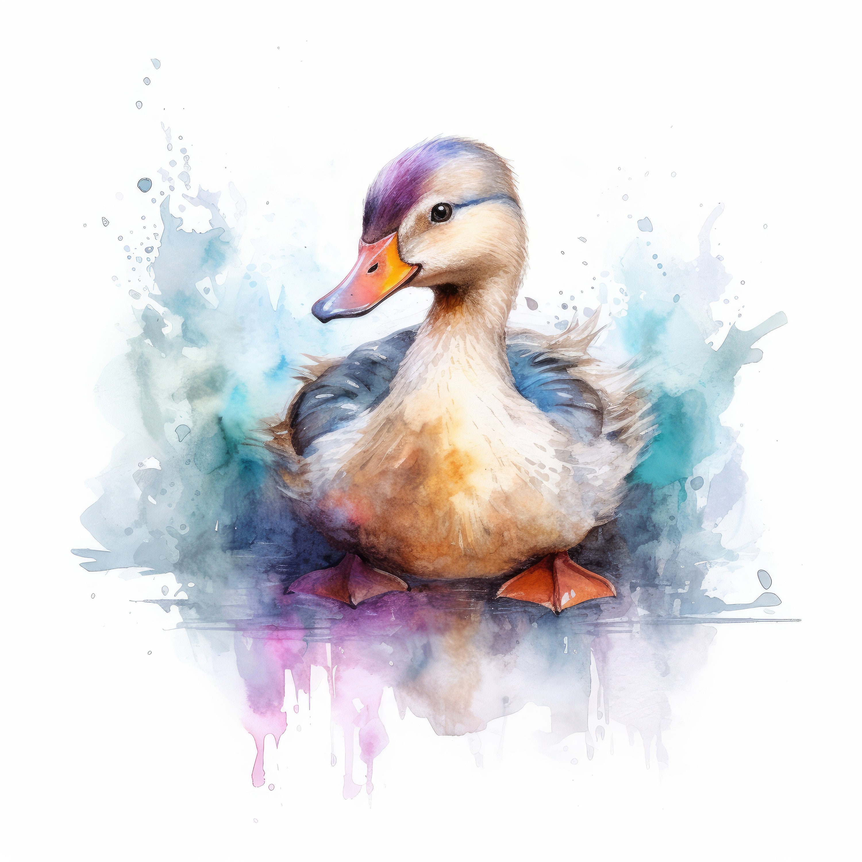 Watercolor Duck Clipart 10 High Quality JPG Scrapbooking - Etsy