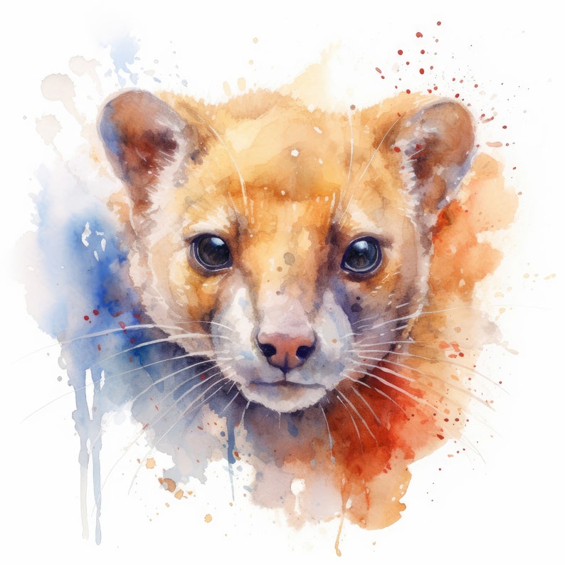 Fossa Watercolor Clipart Madagascar Animal | 10 High Quality JPG ...