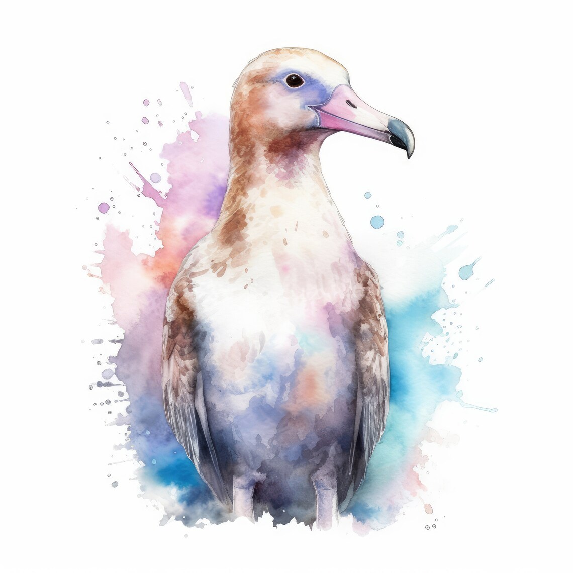 Watercolor Albatross Clipart | 10 High Quality JPG | Scrapbooking, Card ...