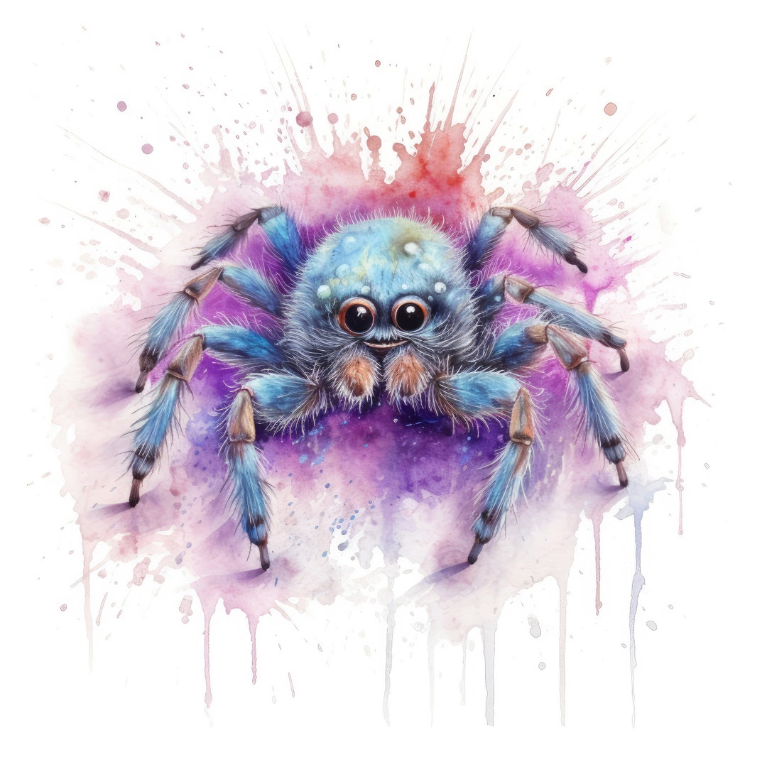 Cute Tarantula Spider Clipart | 10 High Quality JPG | Scrapbooking ...