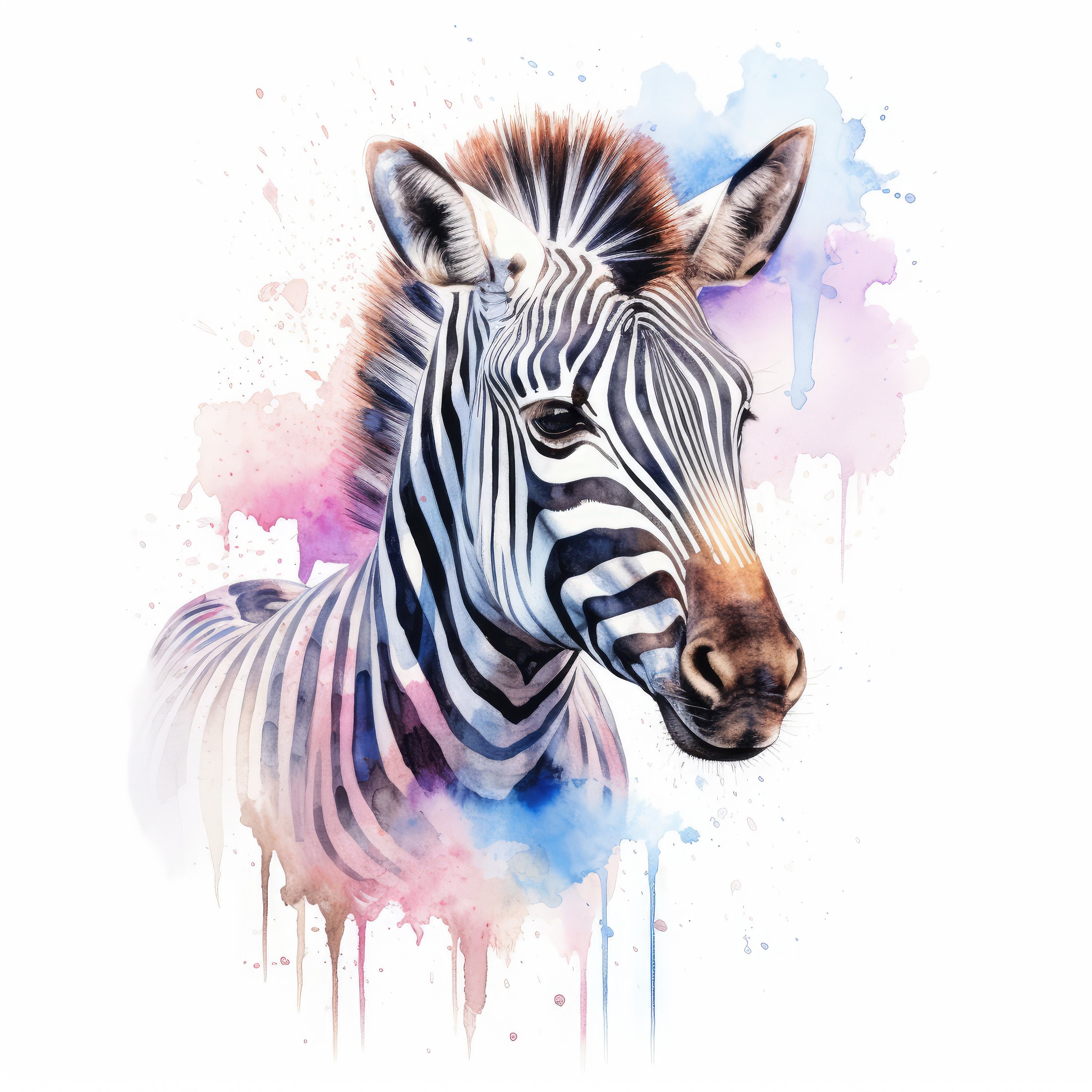 Watercolor Zebra Clipart 10 High Quality JPG Scrapbooking, Card Making ...