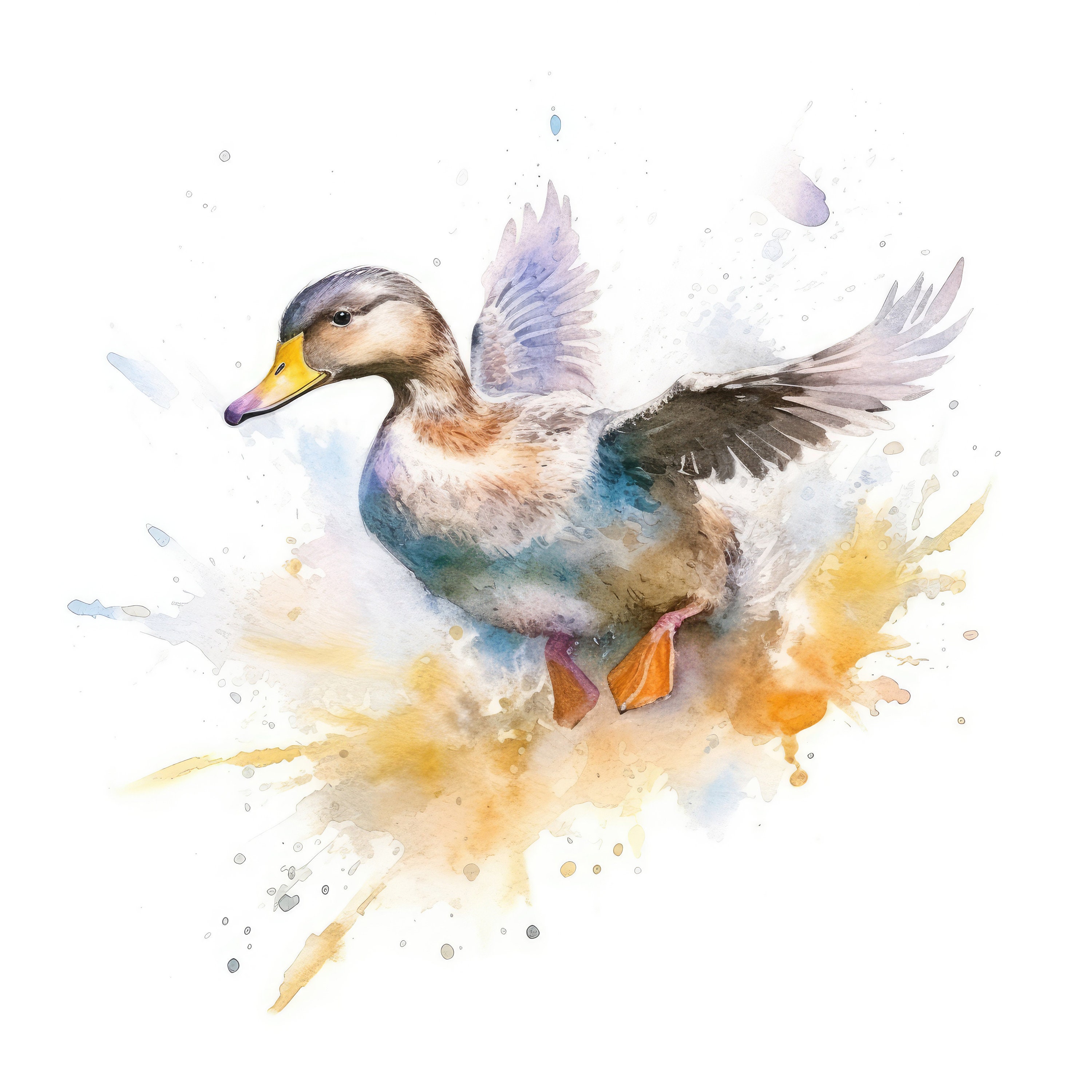 Watercolor Duck Clipart 10 High Quality JPG Scrapbooking - Etsy