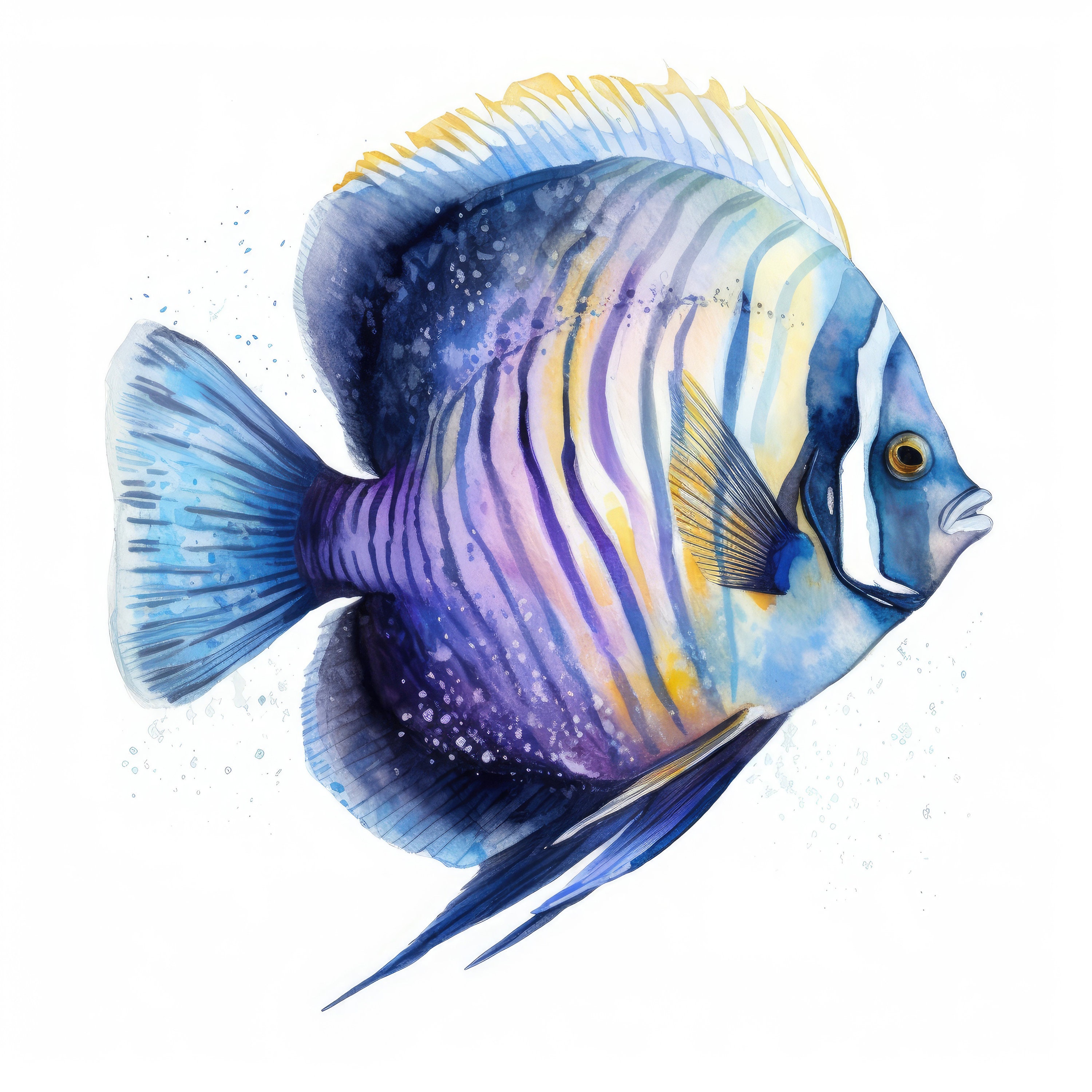 Emperor Angelfish Clipart Watercolor 10 High Quality JPG - Etsy