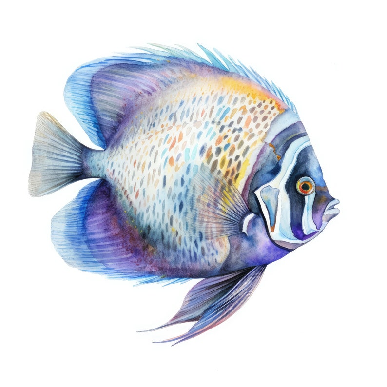 Emperor Angelfish Clipart Watercolor | 10 High Quality JPG ...