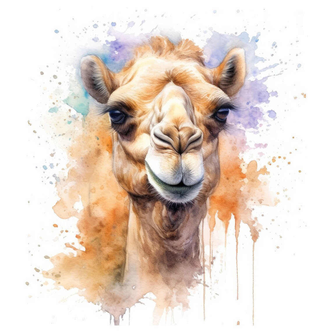 Watercolor Camel Clipart 10 High Quality JPG Scrapbooking - Etsy