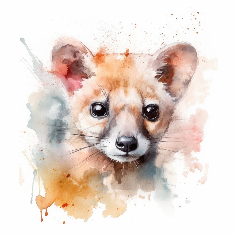 Fossa Watercolor Clipart Madagascar Animal | 10 High Quality JPG ...