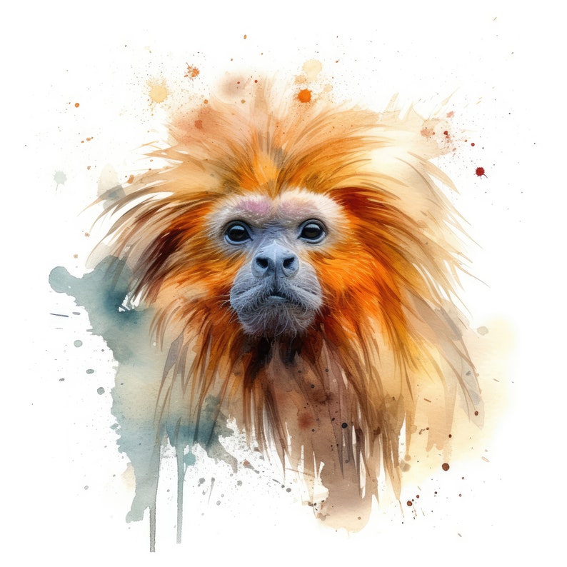 Golden Lion Tamarin Clipart Watercolor 10 High Quality JPG Scrapbooking ...