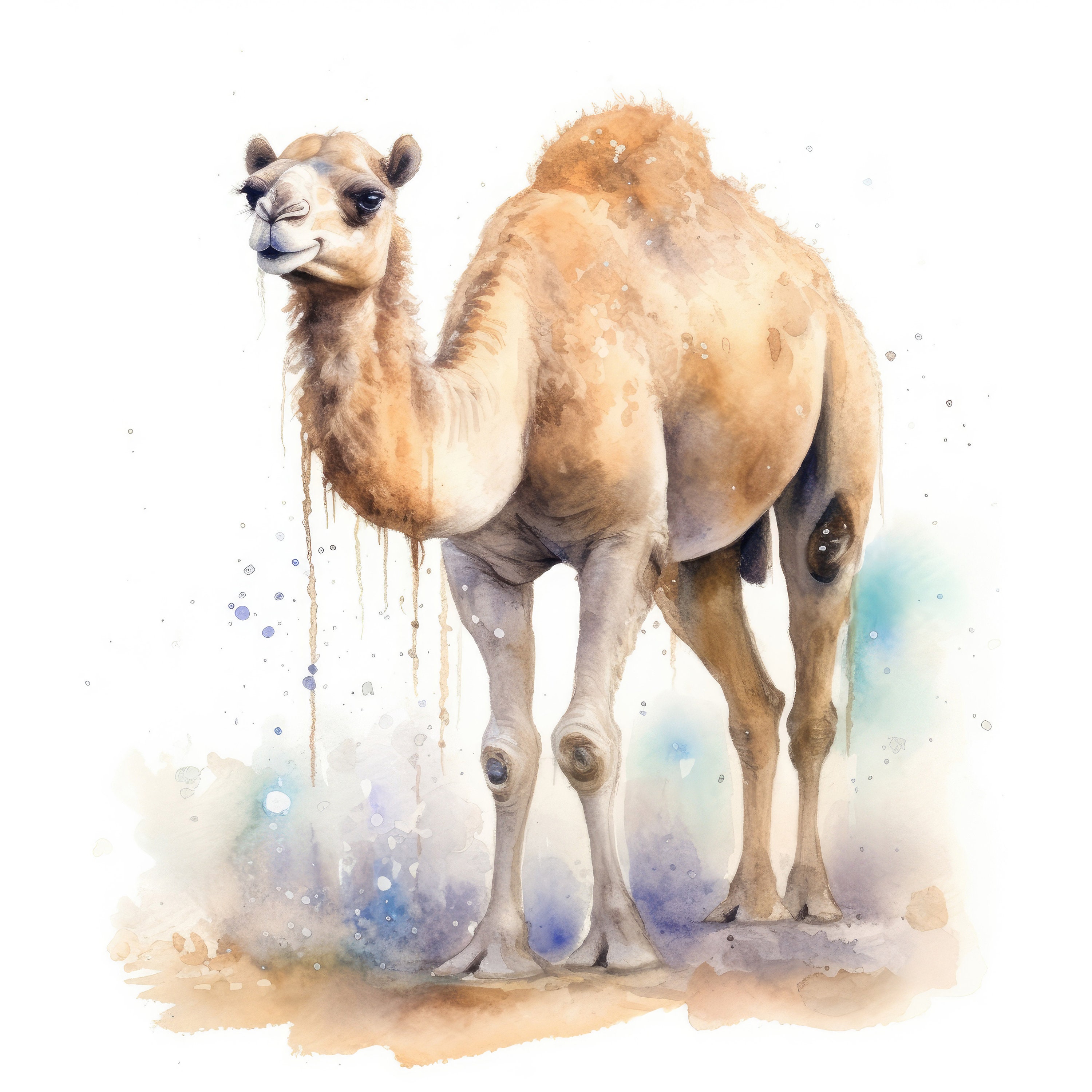 Watercolor Camel Clipart 10 High Quality JPG Scrapbooking - Etsy