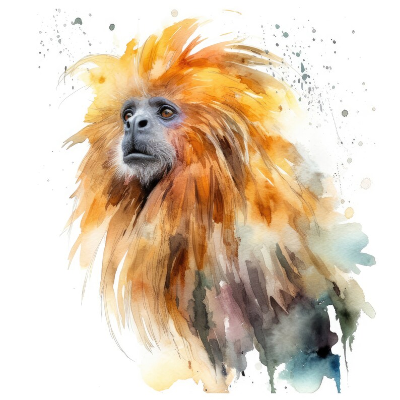 Golden Lion Tamarin Clipart Watercolor 10 High Quality JPG Scrapbooking ...