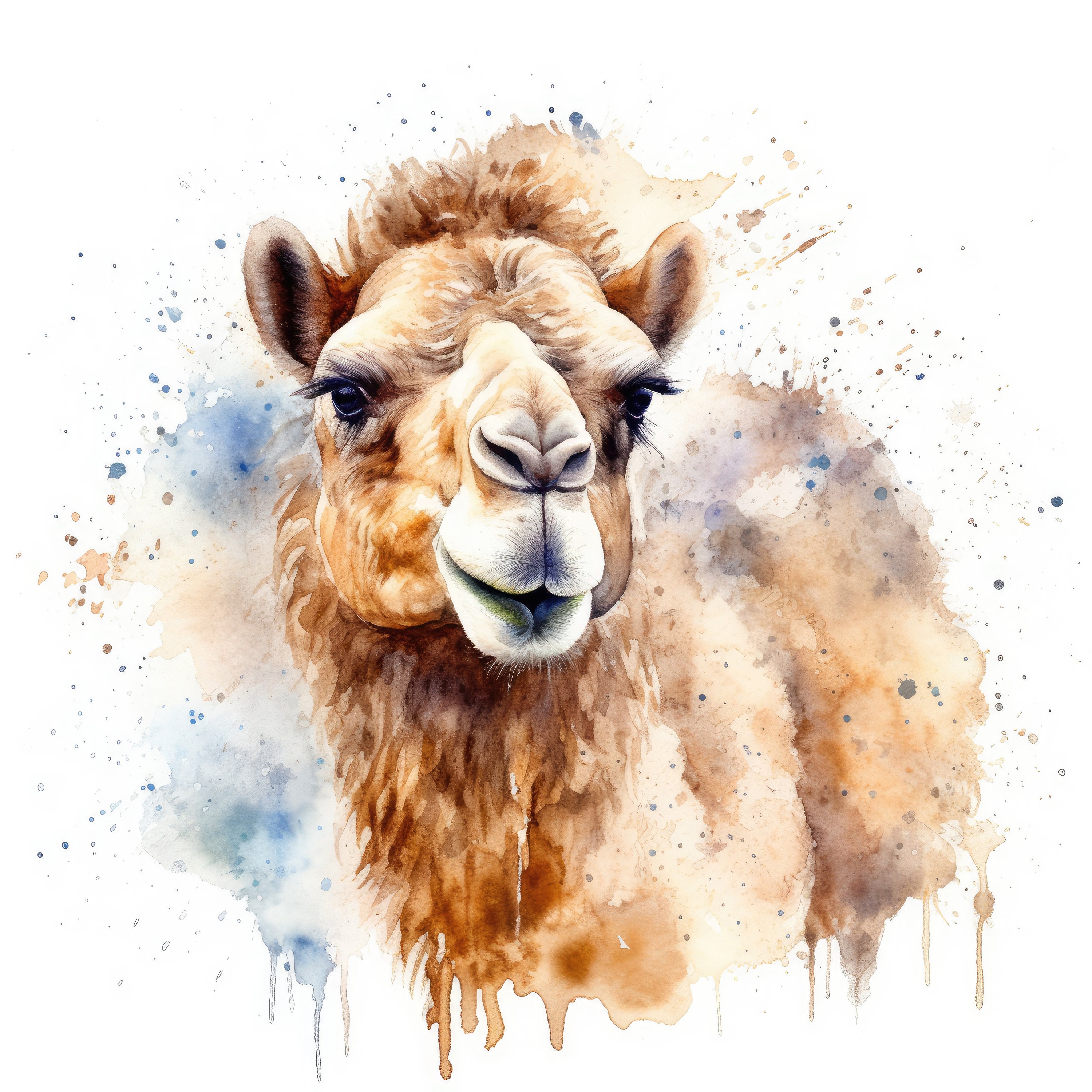 Watercolor Camel Clipart 10 High Quality JPG Scrapbooking - Etsy