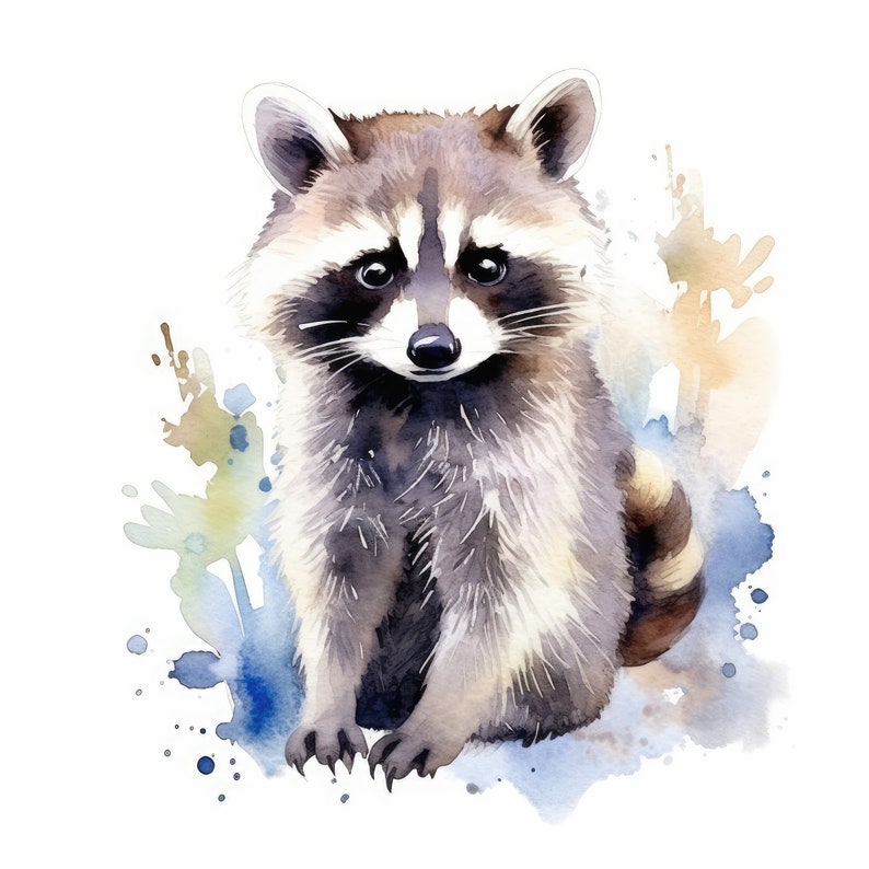 Watercolor Raccoon Clipart | 10 High Quality JPG | Scrapbooking, Card ...