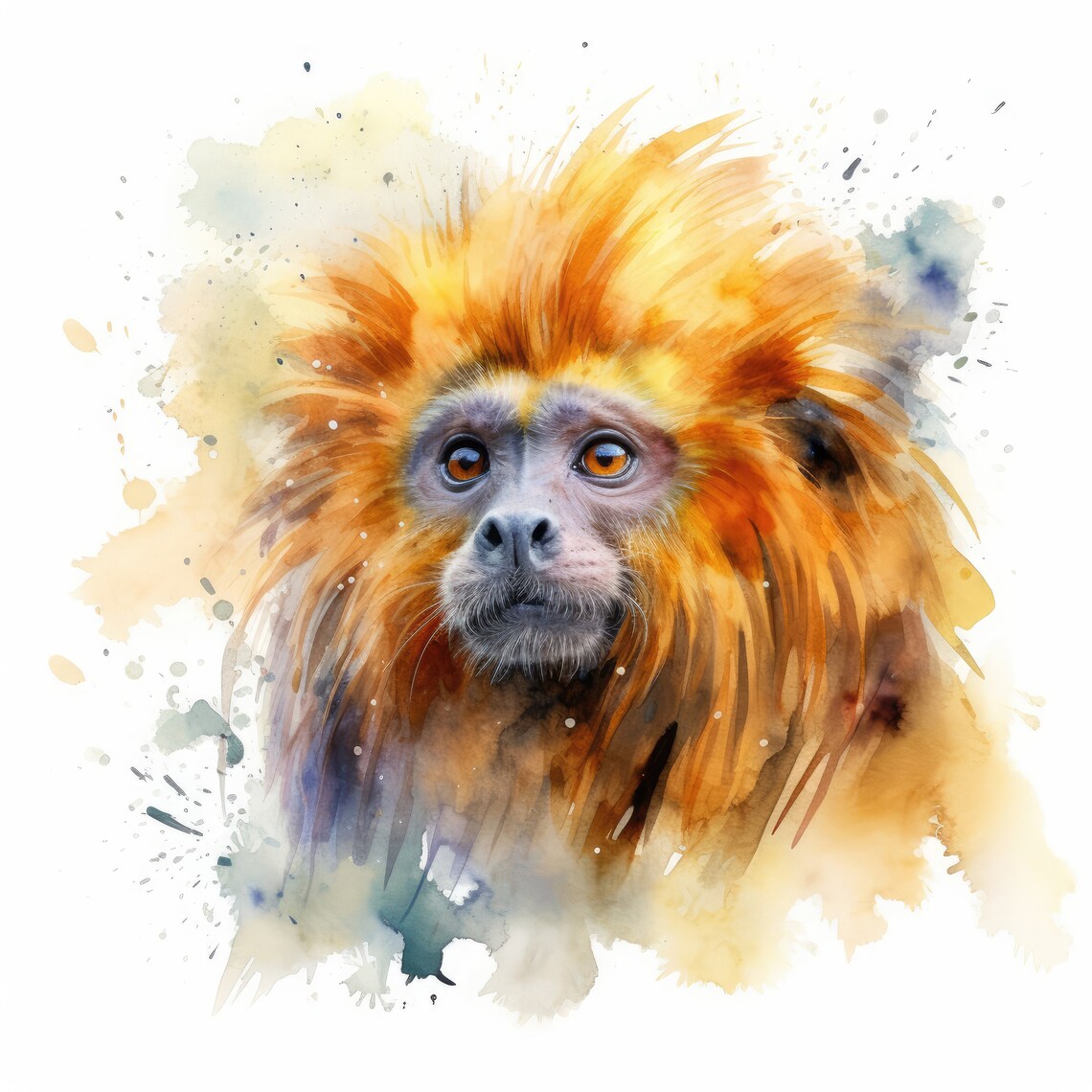 Golden Lion Tamarin Clipart Watercolor | 10 High Quality JPG ...