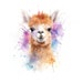 Watercolor Llama Alpaca Clipart | 10 High Quality JPG | Scrapbooking ...