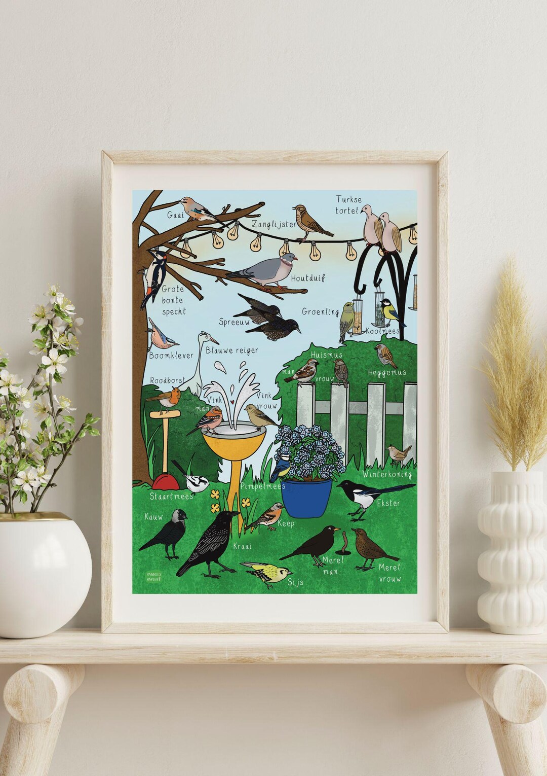 Educational and Colourful Bird Poster - Etsy