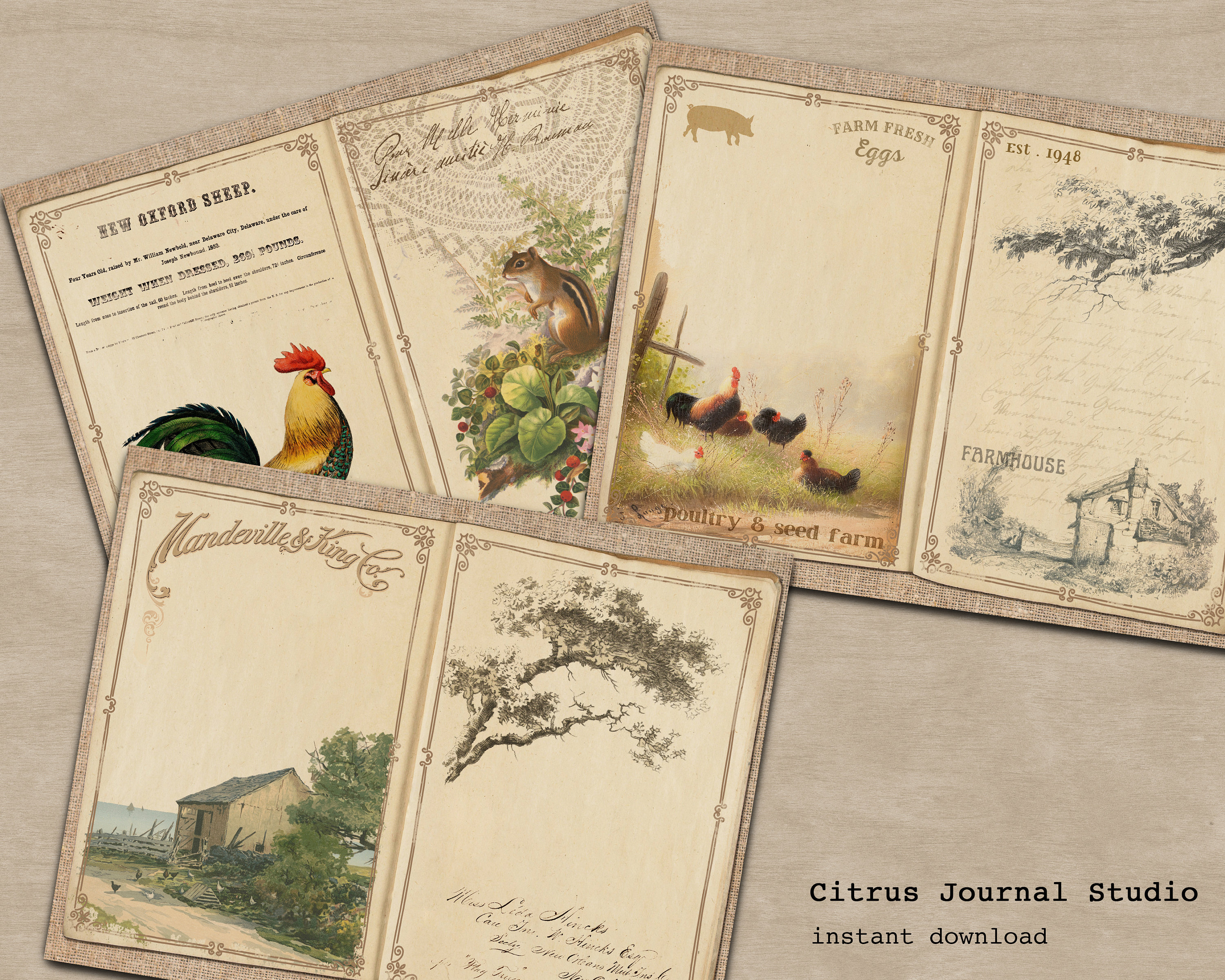Farm Life Journal, Farm Digital Kit, Country Printable, Junk Journal ...